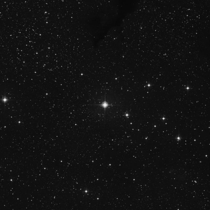 HR8442 - Star in Cepheus | TheSkyLive