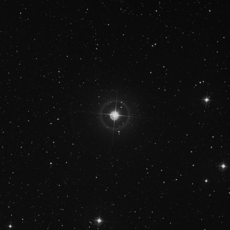 24 Cephei - Star in Cepheus | TheSkyLive