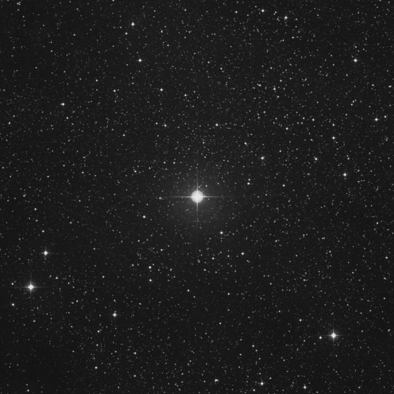 λ Cephei (lambda Cephei) - Star in Cepheus | TheSkyLive