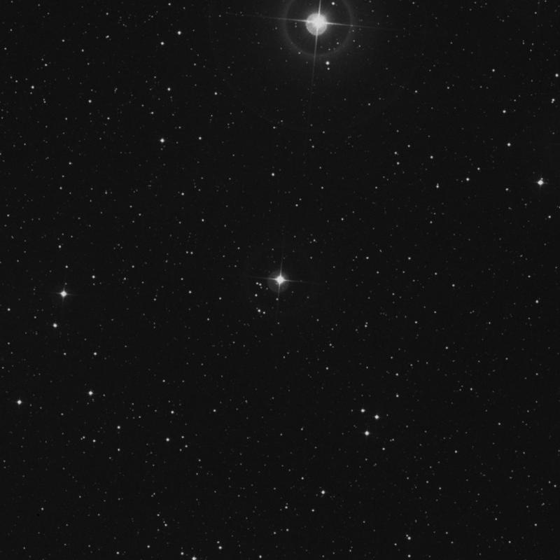 HR8473 - Star in Cepheus | TheSkyLive