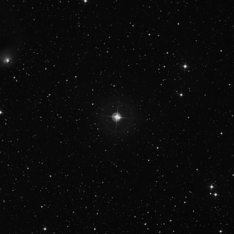 HR8474 - Star in Cepheus | TheSkyLive