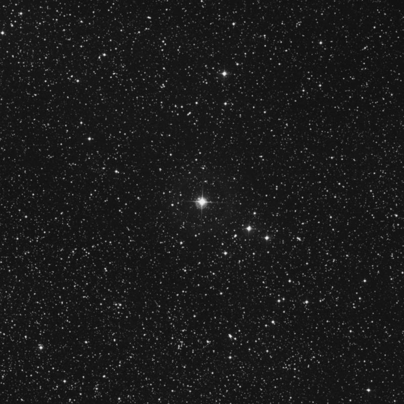 HR8535 - Star in Cepheus | TheSkyLive