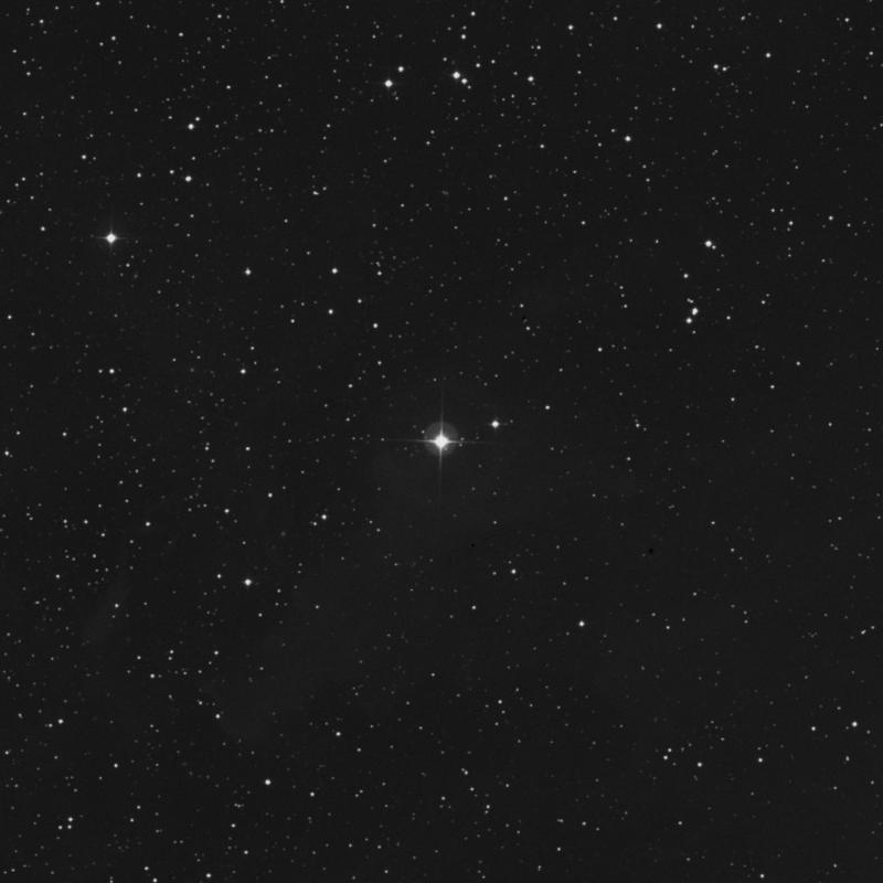 HR8550 - Star in Cepheus | TheSkyLive