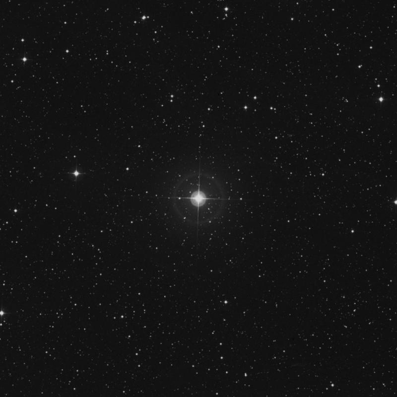 HR8557 - Star in Cepheus | TheSkyLive