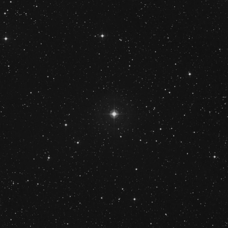 HR8595 - Star in Cepheus | TheSkyLive