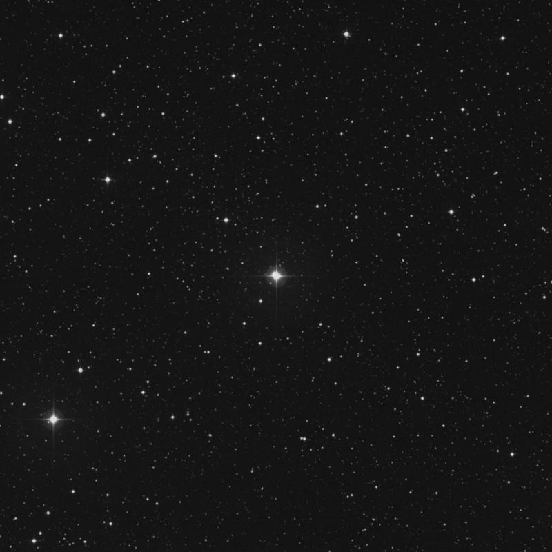 HR8598 - Star in Cepheus | TheSkyLive