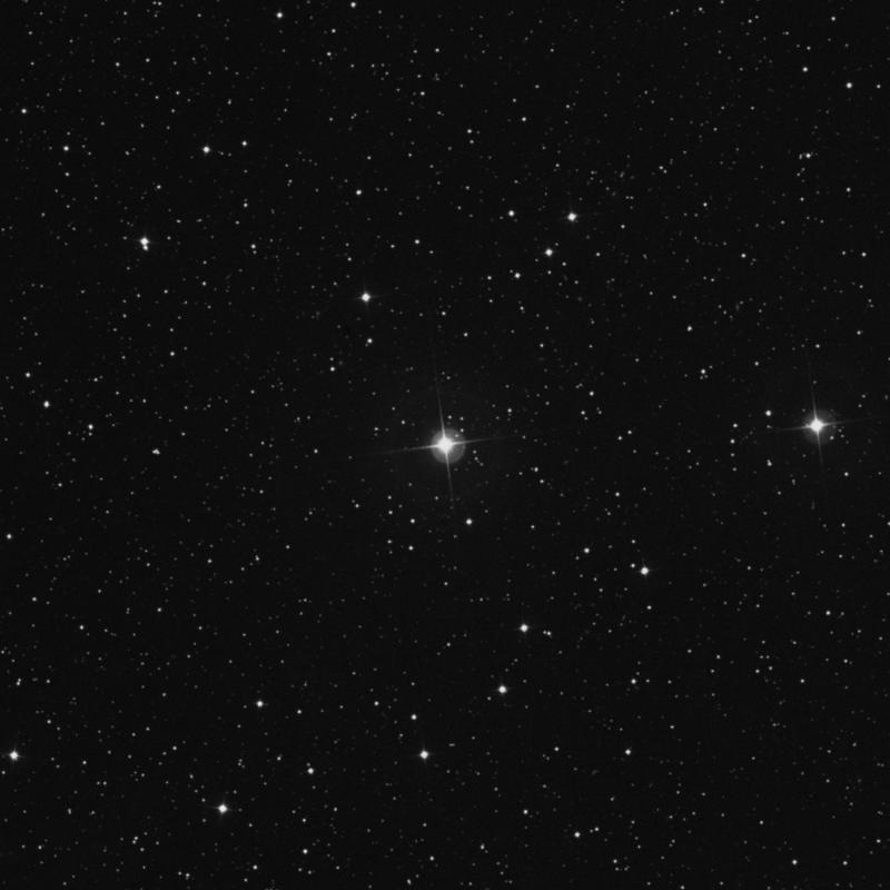 HR8599 - Star in Cepheus | TheSkyLive