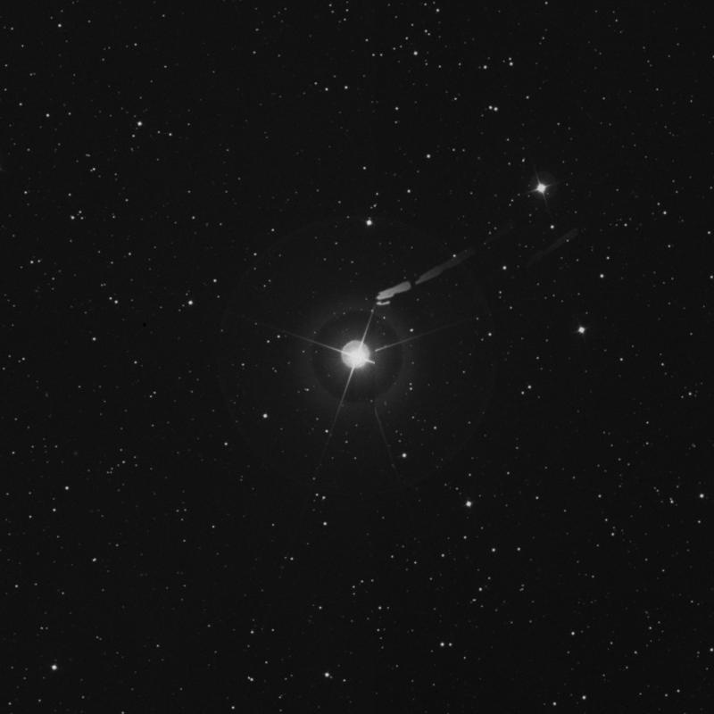 HR8702 - Star in Cepheus | TheSkyLive