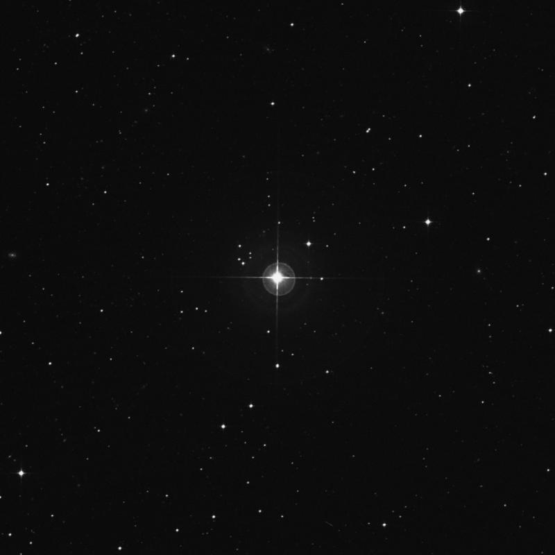 HR8802 - Star in Sculptor | TheSkyLive