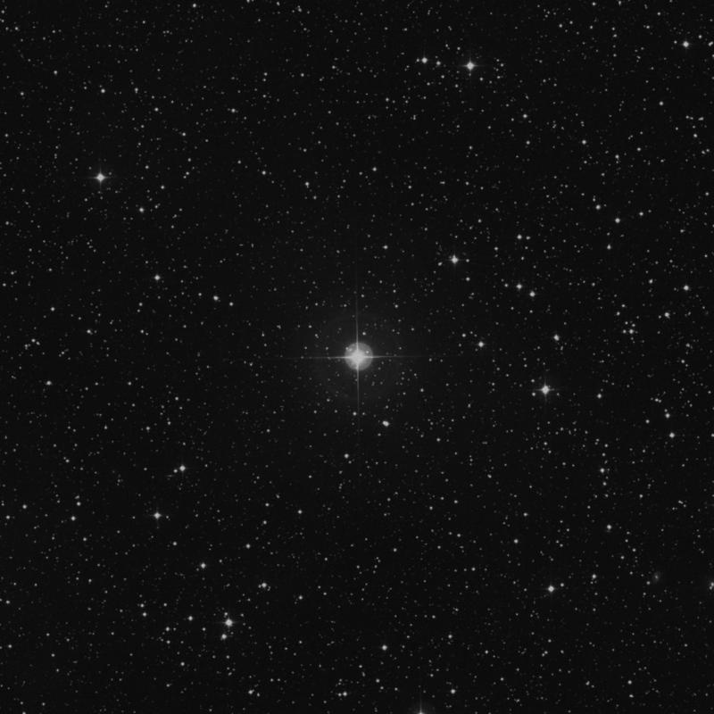 5 Andromedae - Star in Andromeda | TheSkyLive