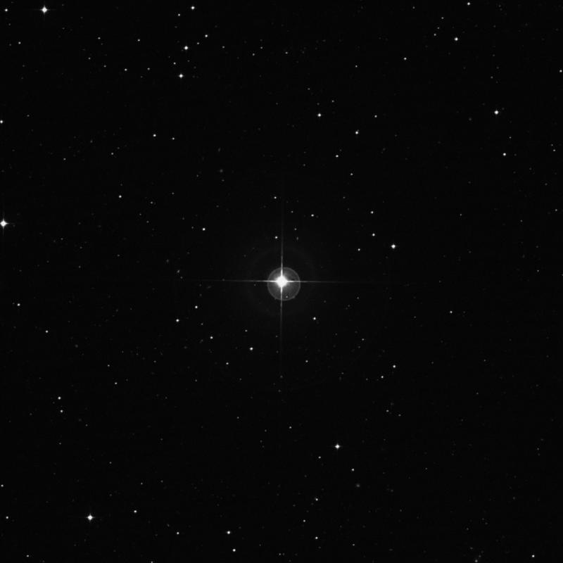 HR8813 - Star in Sculptor | TheSkyLive