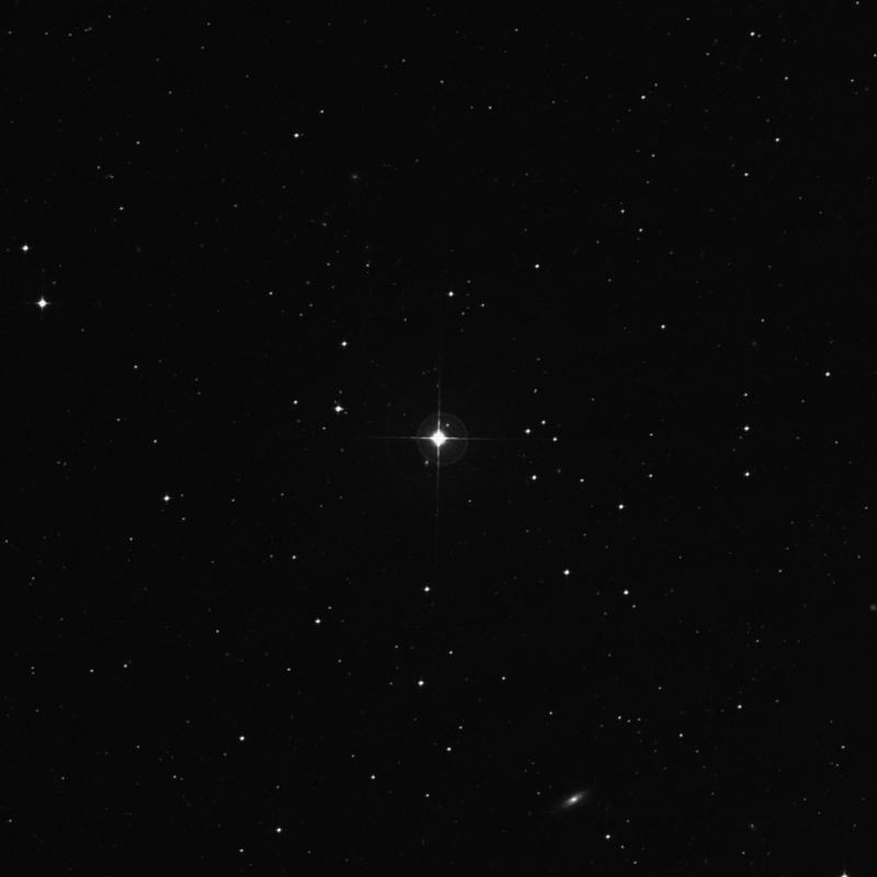HR8823 - Star in Sculptor | TheSkyLive