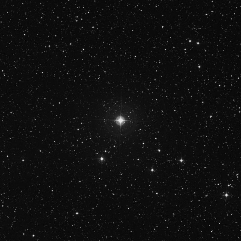 HR8851 - Star in Cepheus | TheSkyLive