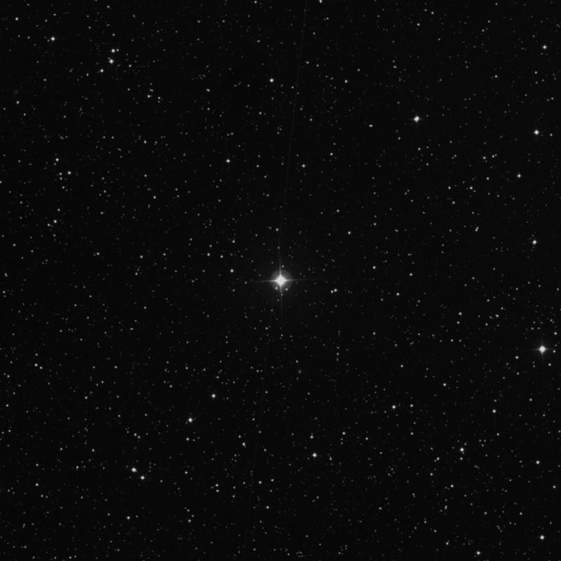 HR8867 - Star in Cepheus | TheSkyLive