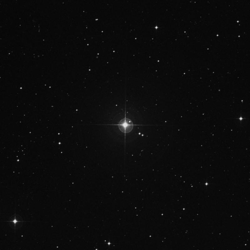 HR8871 - Star in Sculptor | TheSkyLive