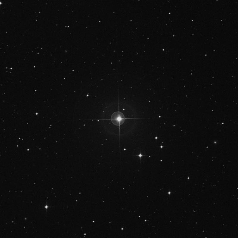 HR8914 - Star in Sculptor | TheSkyLive