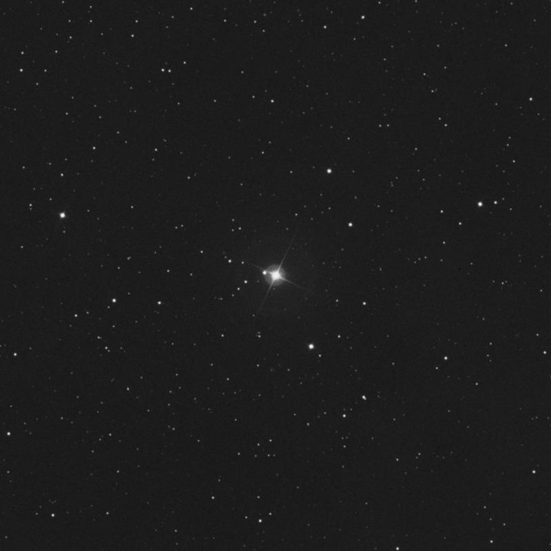 HR8938 - Star in Cepheus | TheSkyLive