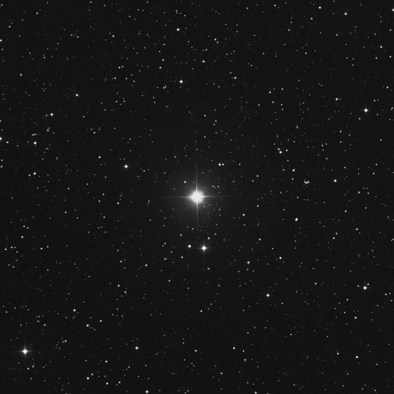 15 Andromedae - Star in Andromeda | TheSkyLive