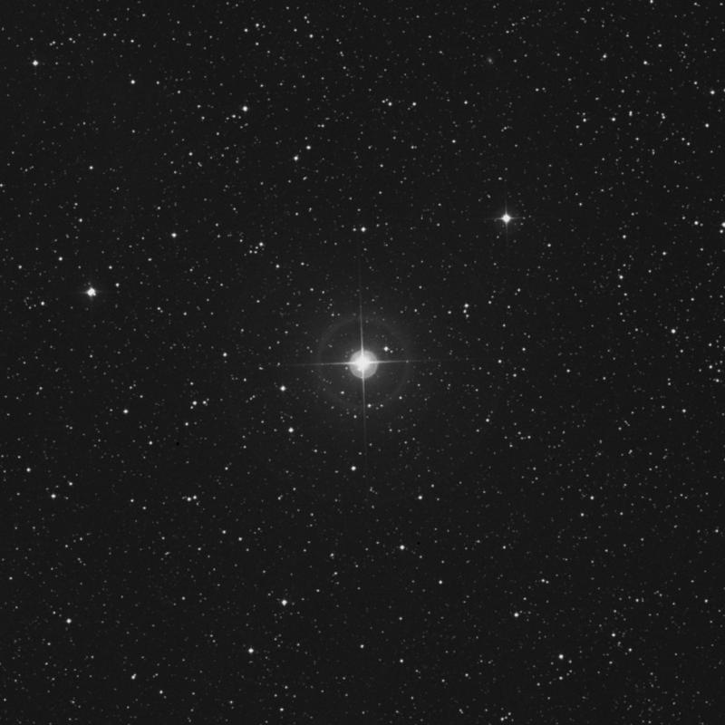 HR8952 - Star in Cepheus | TheSkyLive