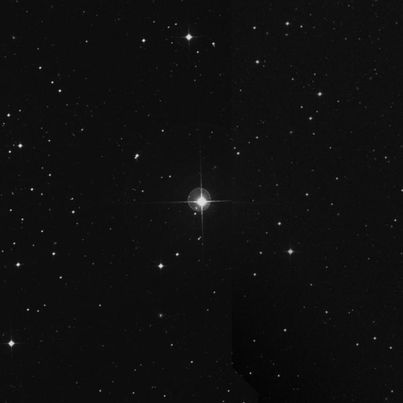 HR8956 - Star in Sculptor | TheSkyLive
