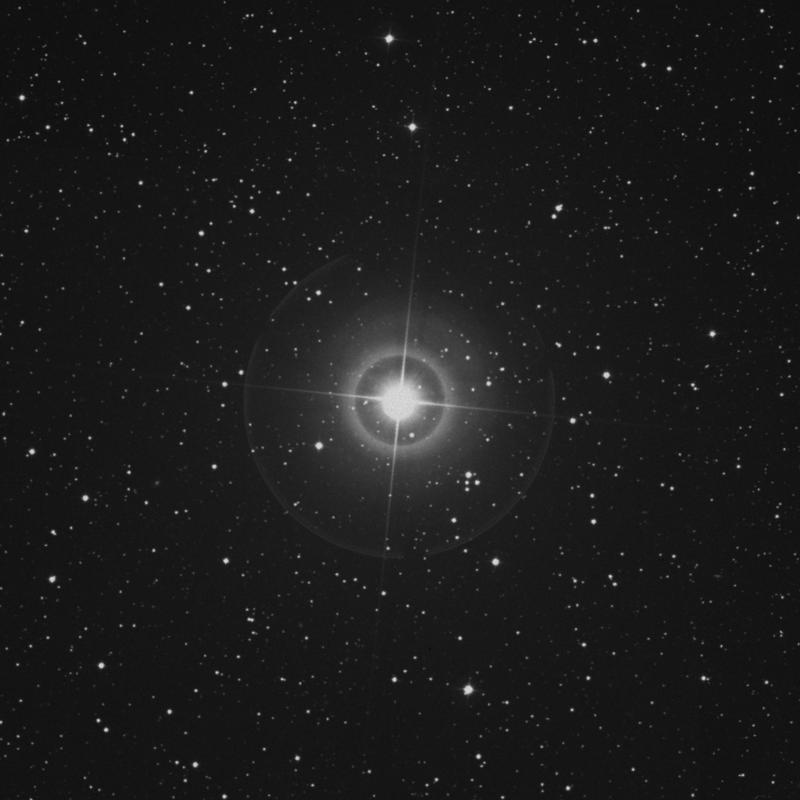 Errai - γ Cephei (gamma Cephei) - Star in Cepheus | TheSkyLive