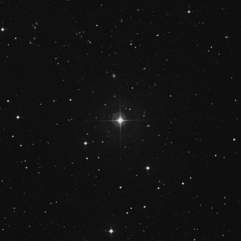 HR8999 - Star in Sculptor | TheSkyLive