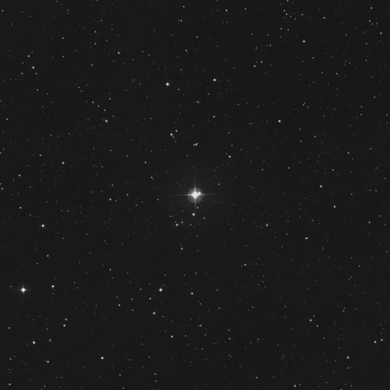 HR906 - Star in Cepheus | TheSkyLive