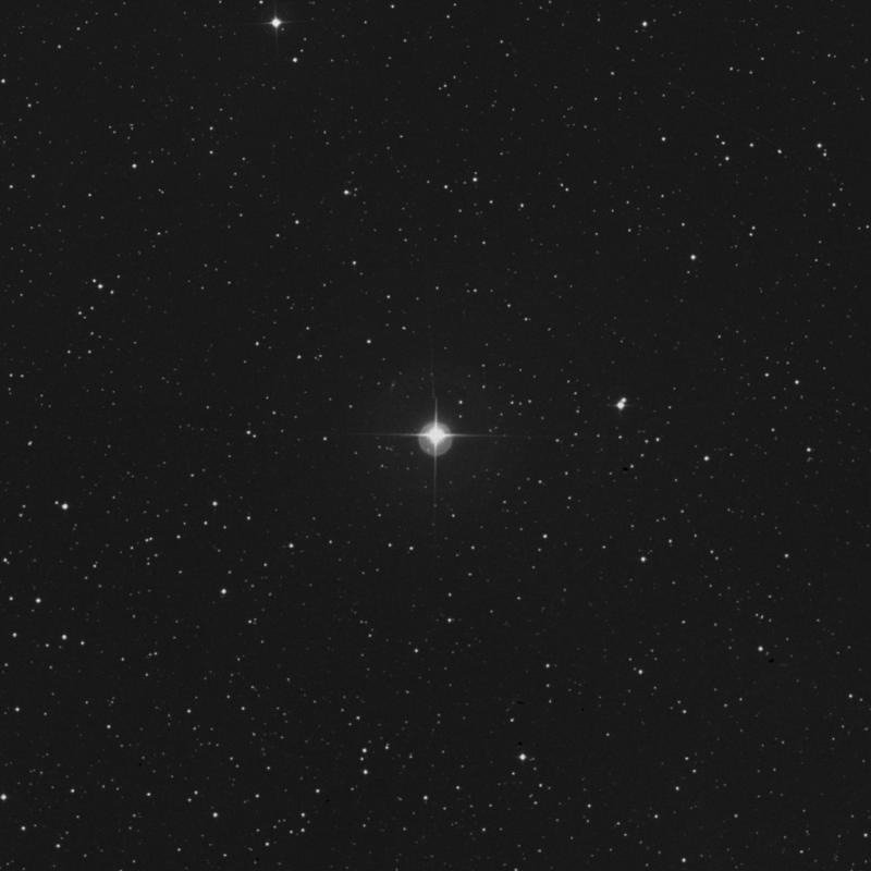HR961 - Star in Cepheus | TheSkyLive