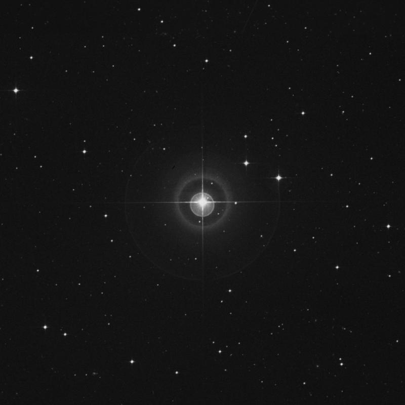 15 Eridani - Star in Eridanus | TheSkyLive