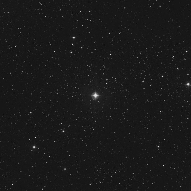 HR9005 - Star in Cepheus | TheSkyLive
