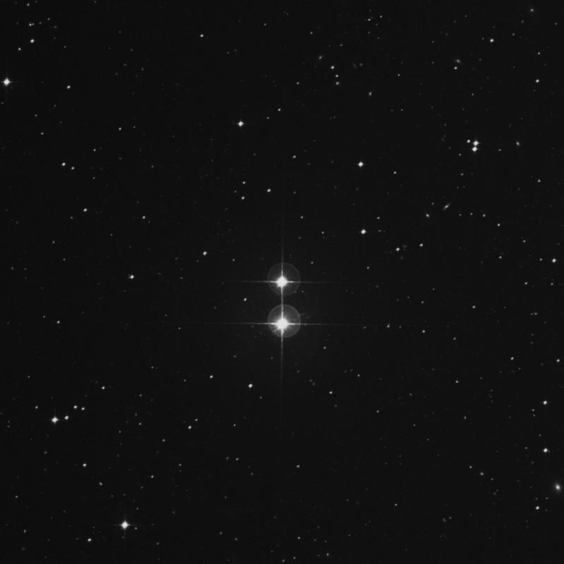 HR9050 - Star in Sculptor | TheSkyLive