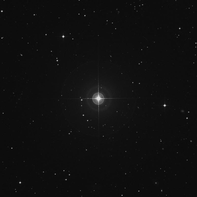 HR9073 - Star in Sculptor | TheSkyLive