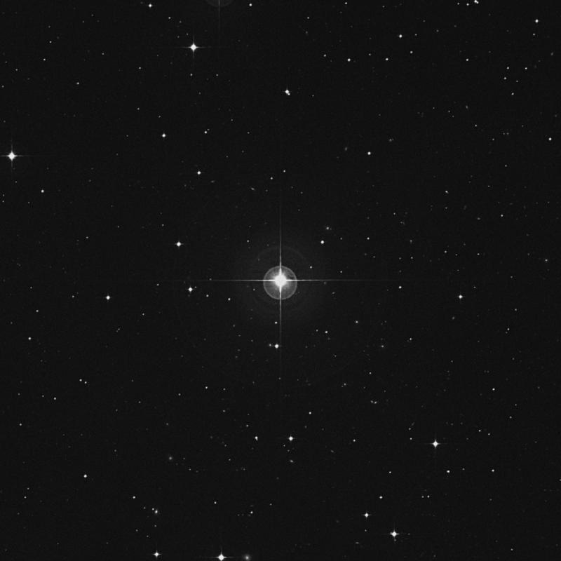 29 Piscium - Star in Pisces | TheSkyLive